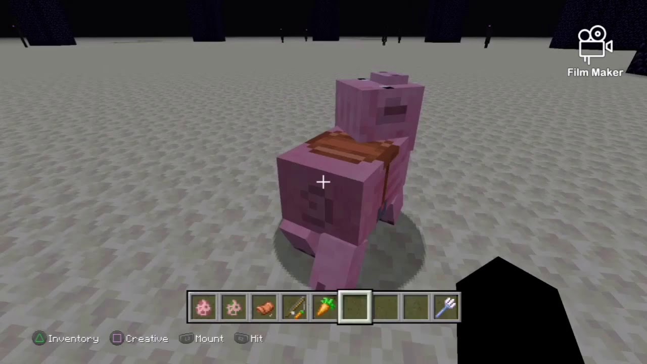 Cursed minecraft pig images with pigstep - YouTube
