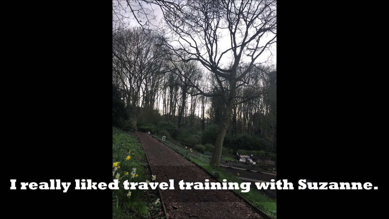 Look at the review of Harington Scheme for travel training - YouTube