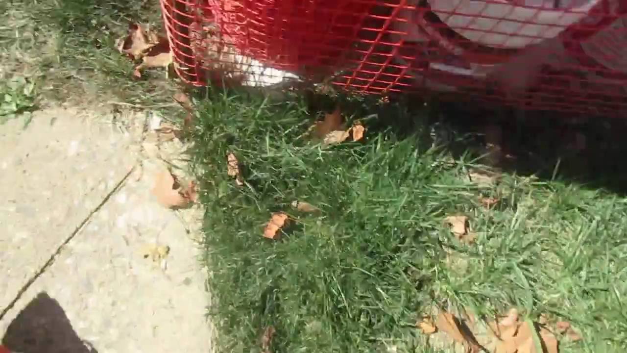 General Hydraulic Elevator @ Ruby Jones Hall- WCU, West Chester, PA ...
