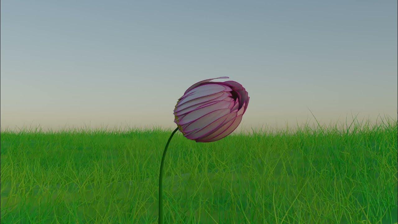 Blender Blooming flower animation #shorts - YouTube