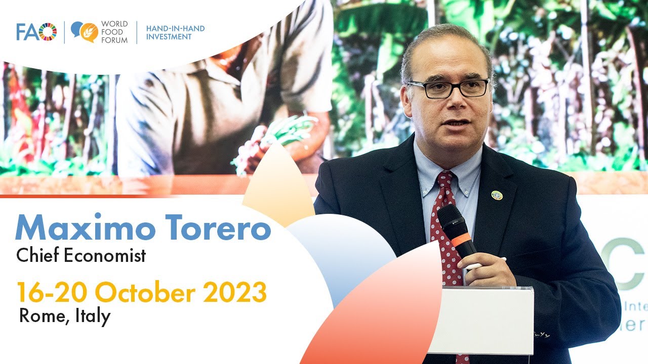 Maximo Toreo Chief Economist - Hand in Hand Initiative, Investment ...