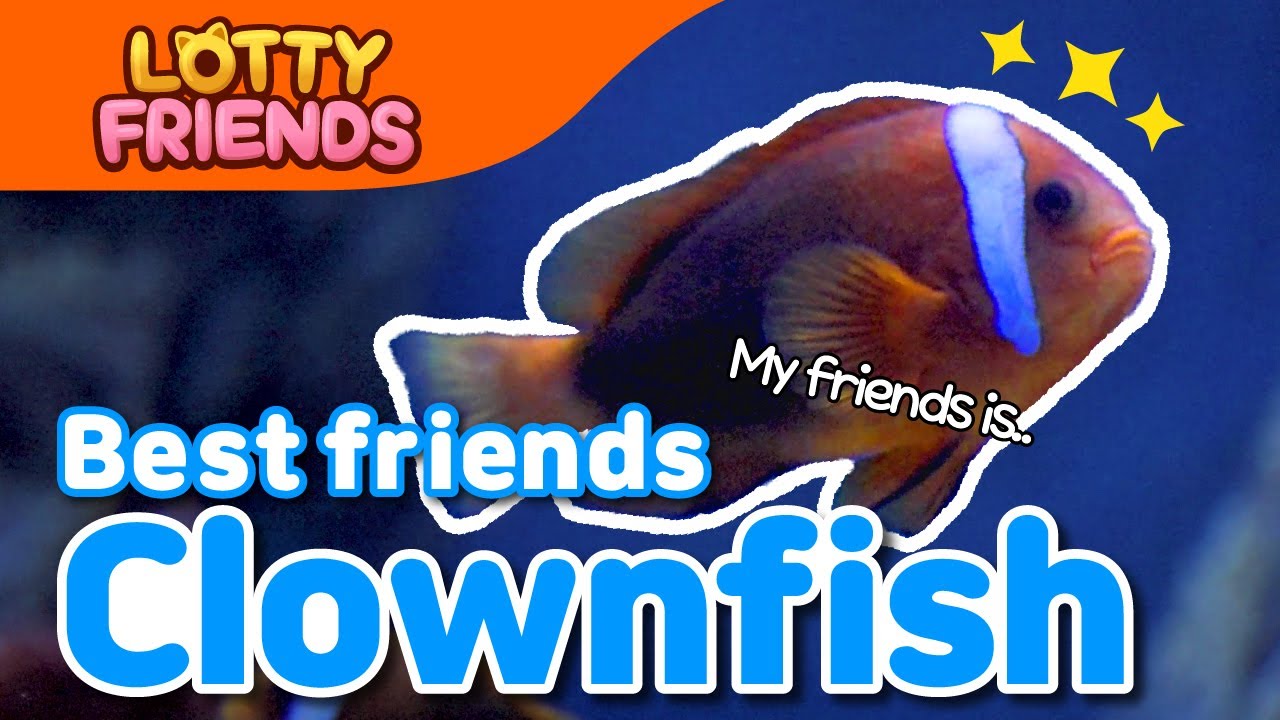 Clownfish🐠 | Kids Songs & Educational Songs | For Kids | Sea Animal ...