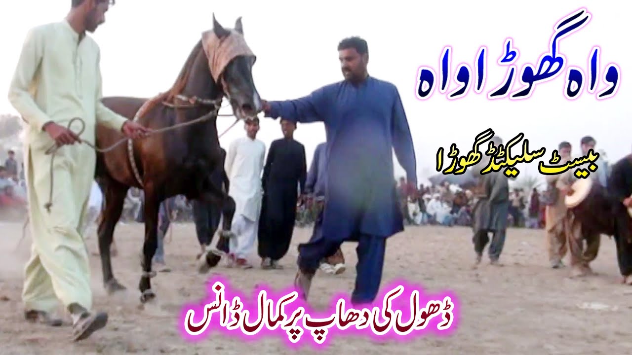 Horse dance with dhol in Pakistan | Amazing Horse Dance | Lovely Ghora ...