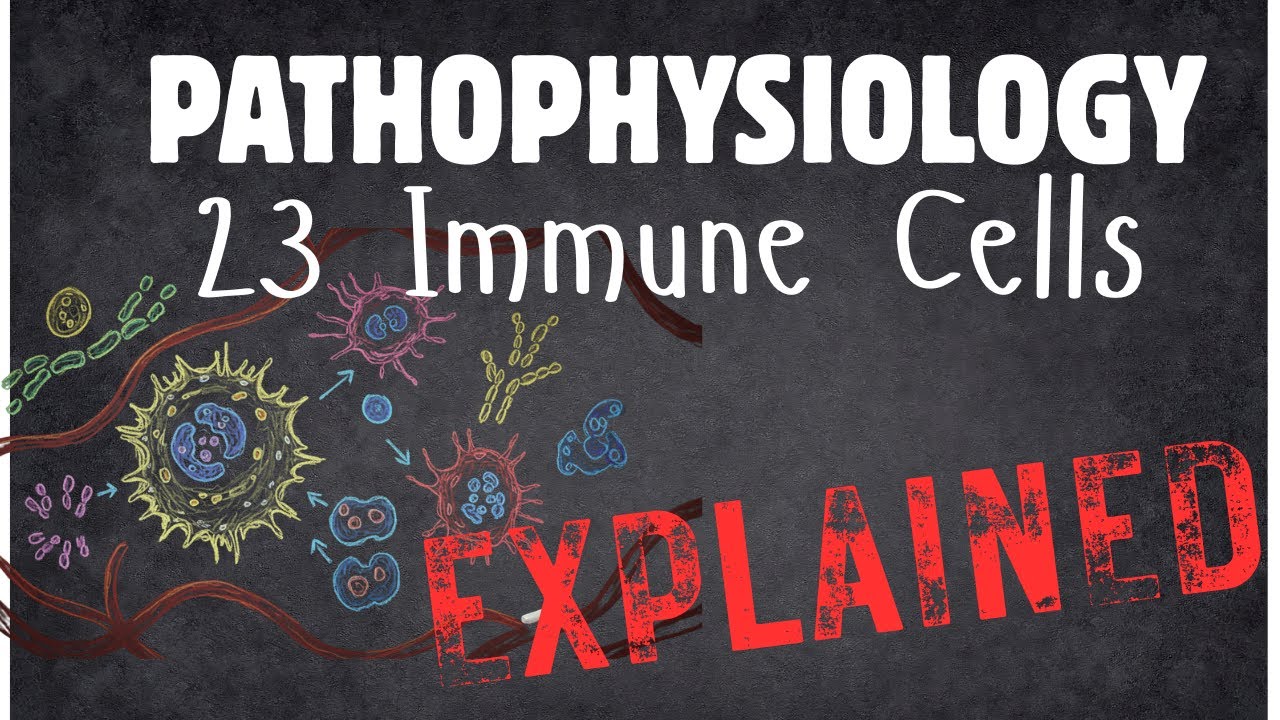 PATHOPHYSIOLOGY essentials EXPLAINED 23 -- Innate immunity cells - YouTube