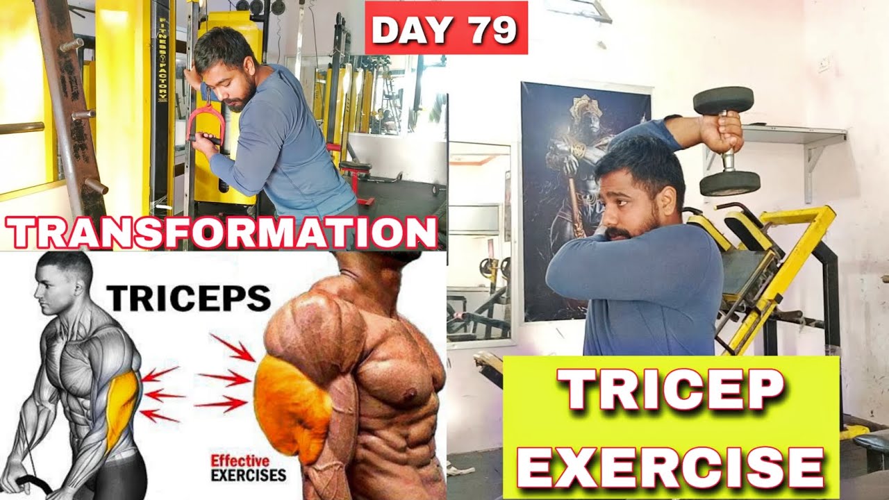Day 79 Tricep Workout Fat To Fit Transformation video Gym Fitness Video ...