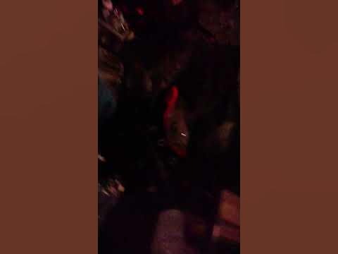 B'z35周年ライブ終わりの挨拶(お疲れ～)、、日産スタジアムver. - YouTube