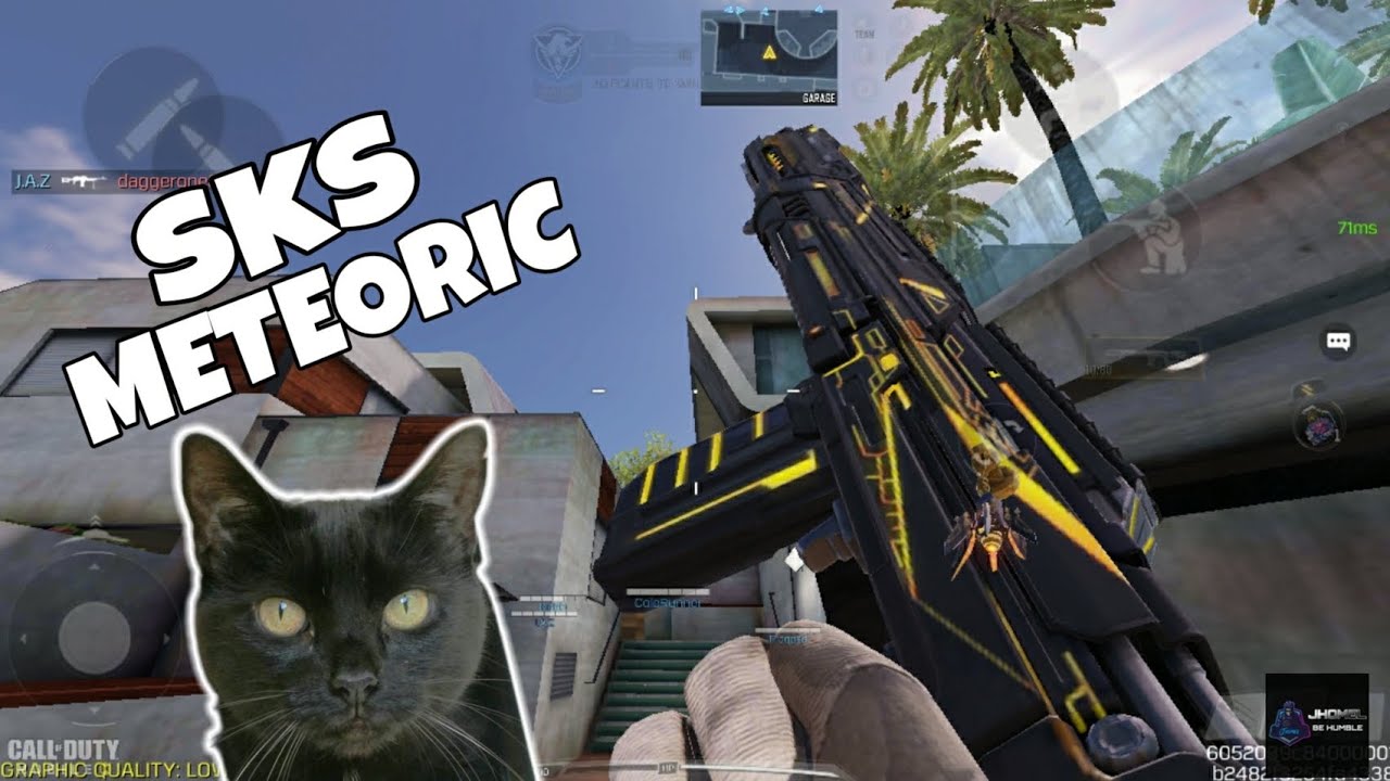 SKS METEORIC |Codm Gameplay - YouTube