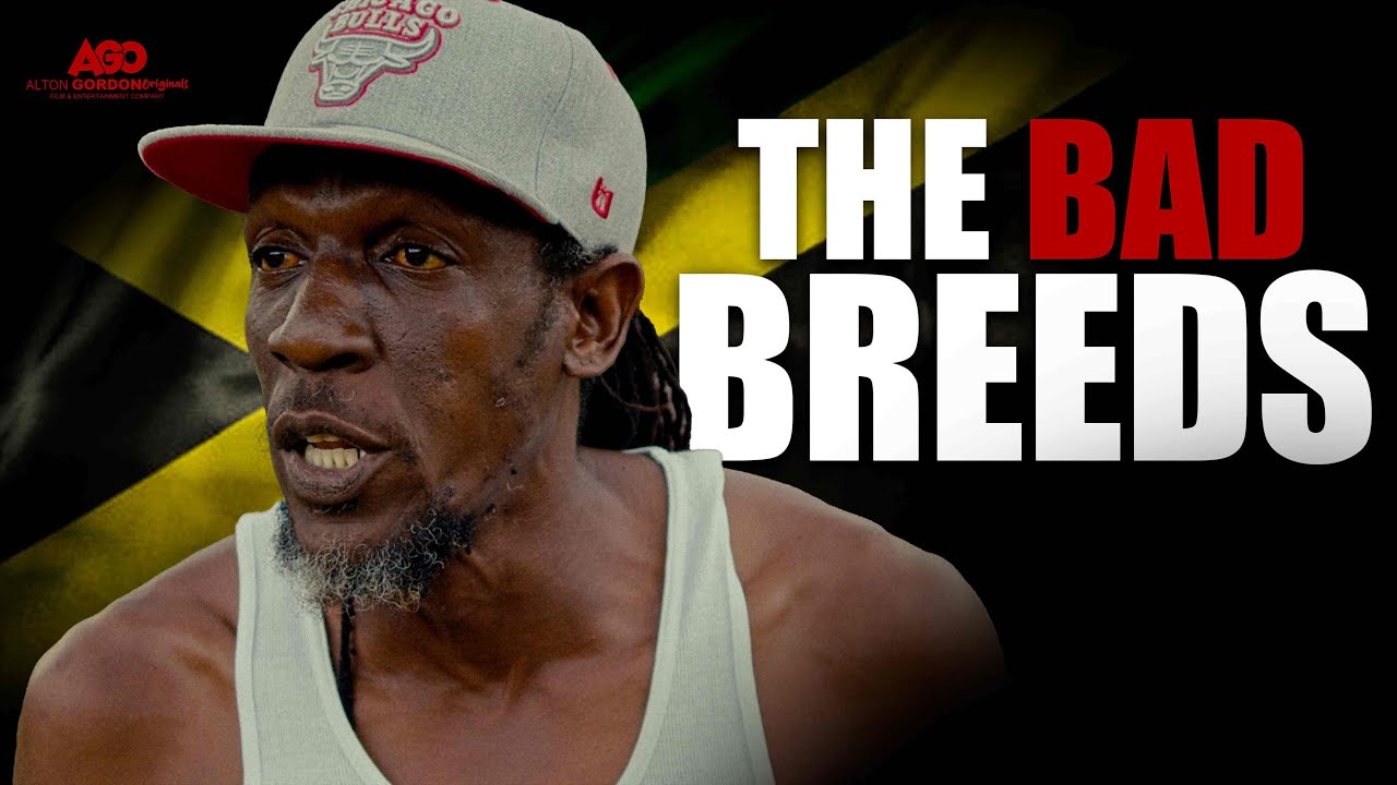 THE BAD BREEDS - JAMAICAN MOVIE ALTON GORDON ORIGINALS - YouTube