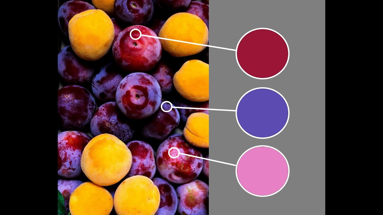 Colour Recipes #005: Plums! Colour Mixing Challenge for Oil and Acrylic ...