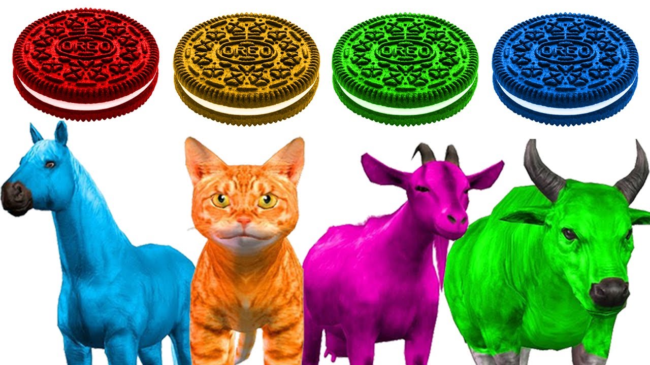 Learn Colors Oreo Cookies With Colors Animals For Kids | Learn Colors ...