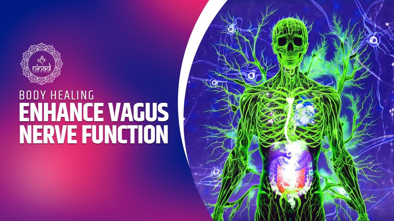 Enhance Vagus Nerve Function With Relaxing Music | Body Healing ...