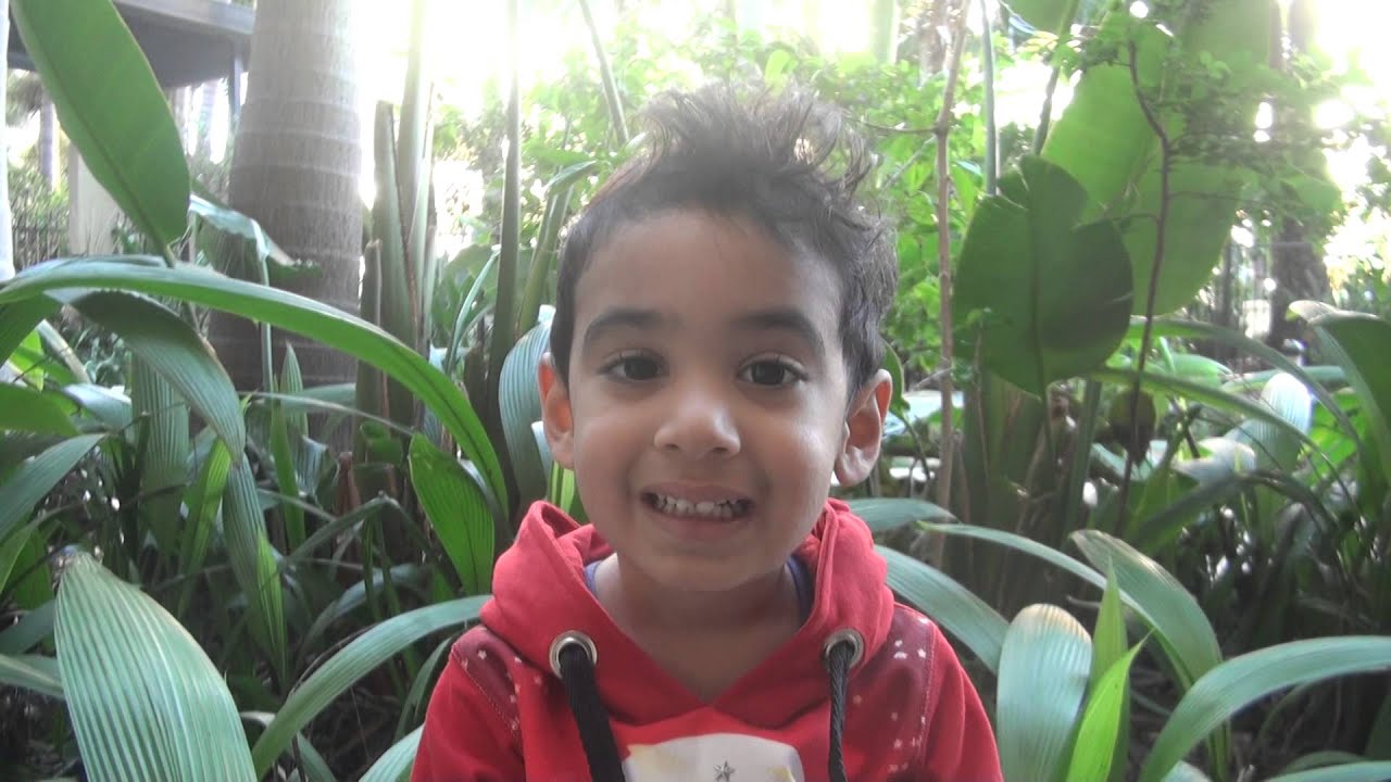 Small Child chanting shlokas - YouTube