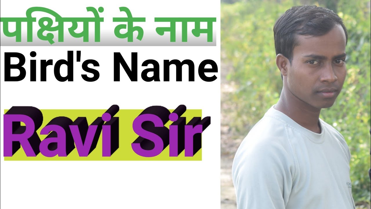पक्षियों के नाम अंग्रेज़ी में। Bird's Name ।। Ravi sir - YouTube