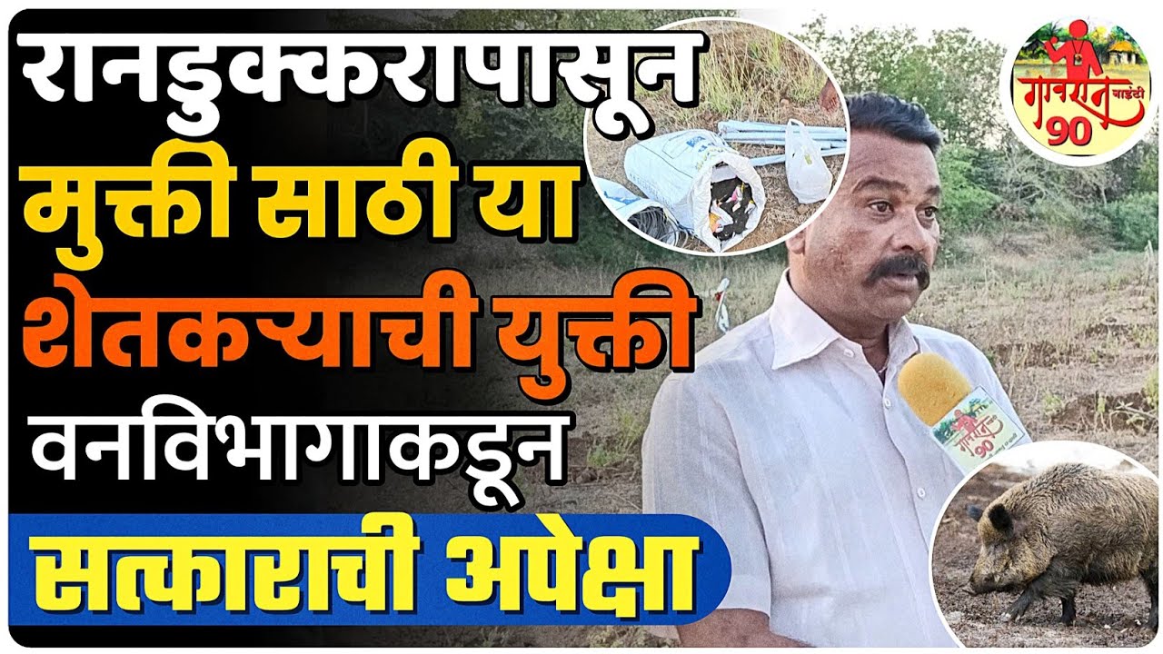 Randukkar Shikar : रानडुकराच्या त्रासापासून मुक्ती ! शेतकरी वापरते हे ...