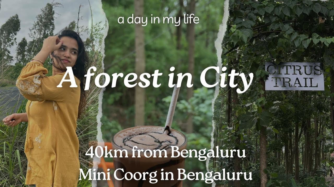 Mini Coorg 40km from Bengaluru | Weekend gateway | Citrus Trail ...