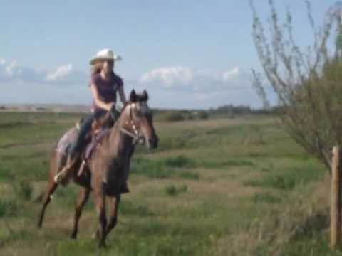 BALE RACING! - YouTube