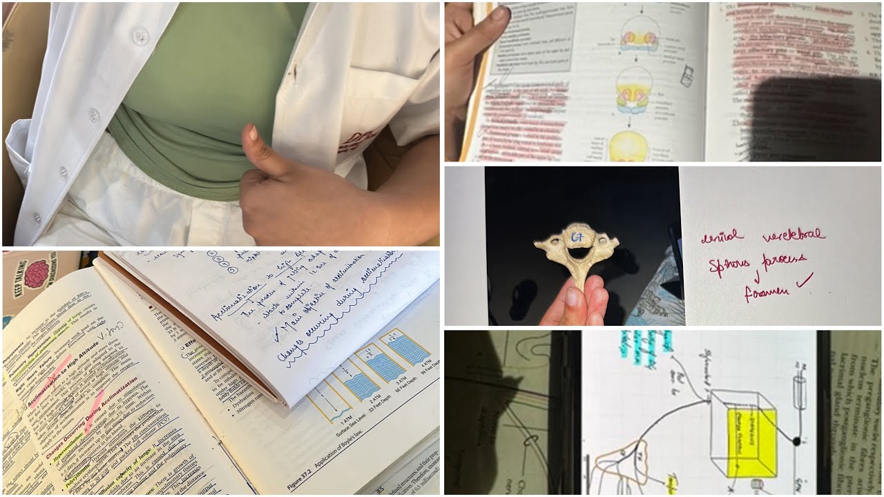 1st year mbbs (everything you need to know about 1 st year ...
