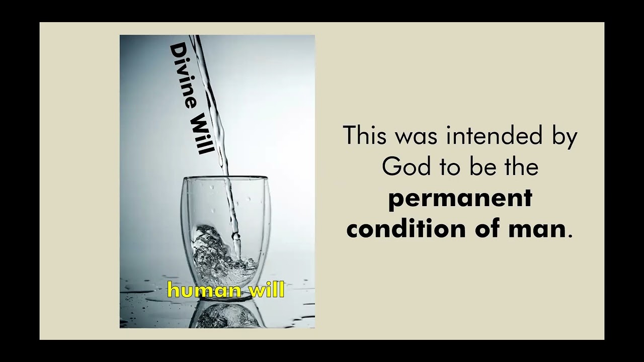 Our Journey in Learning to Live in the Kingdom of the Divine Will - YouTube