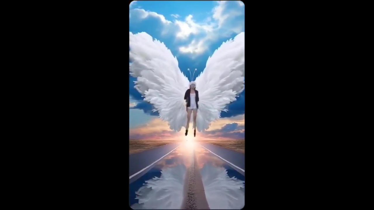A beautiful compilation of my video clips and music - YouTube
