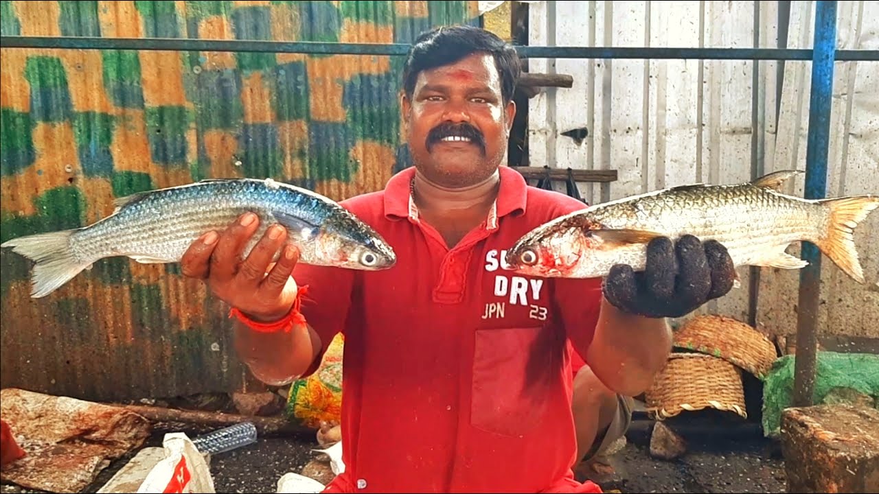 MADAVA MEEN || FRESH HOOK FISHING || QUICKLY CUTTING SKILLS || CUTTING ...