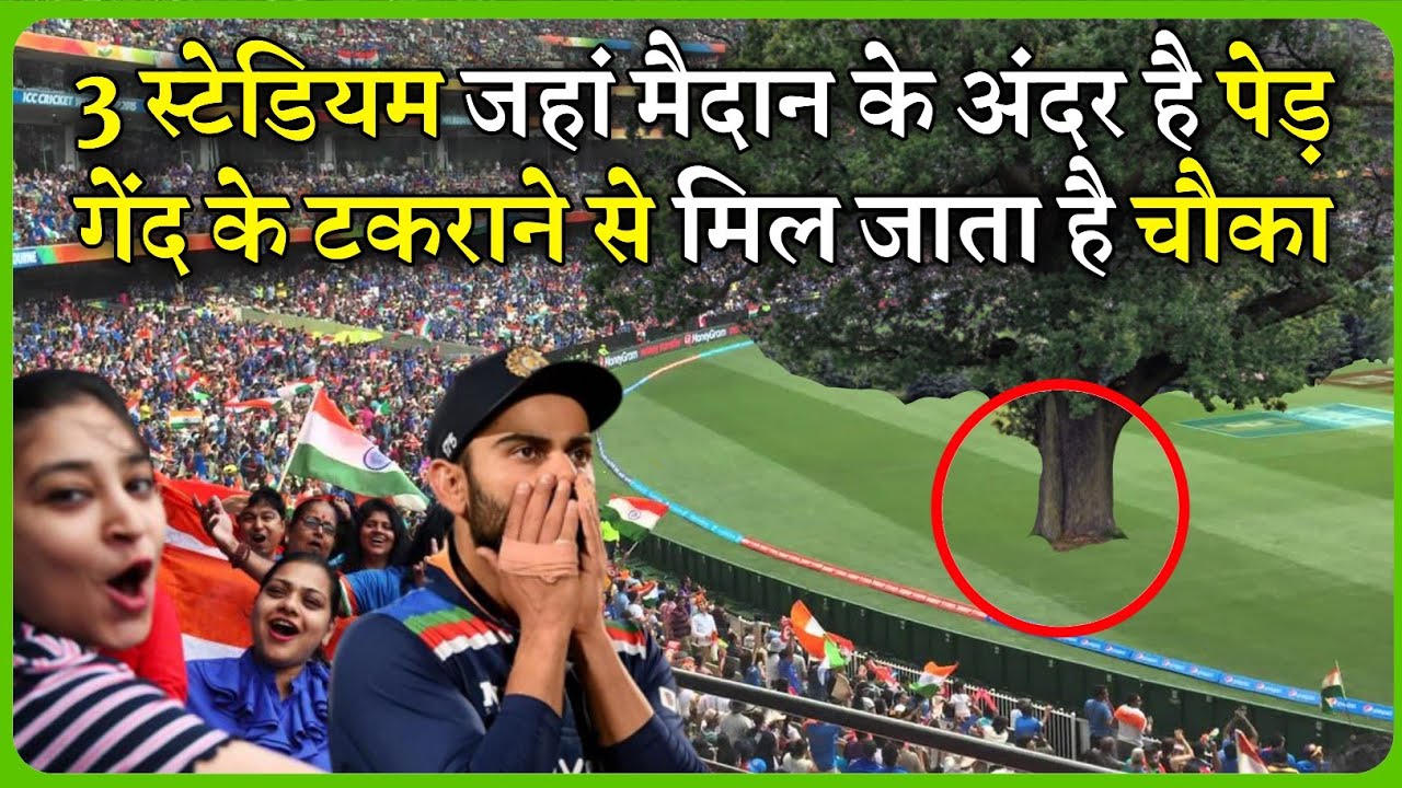Tree in Cricket Stadium: 3 स्टेडियम जहां मैदान के अंदर है पेड़, गेंद के ...