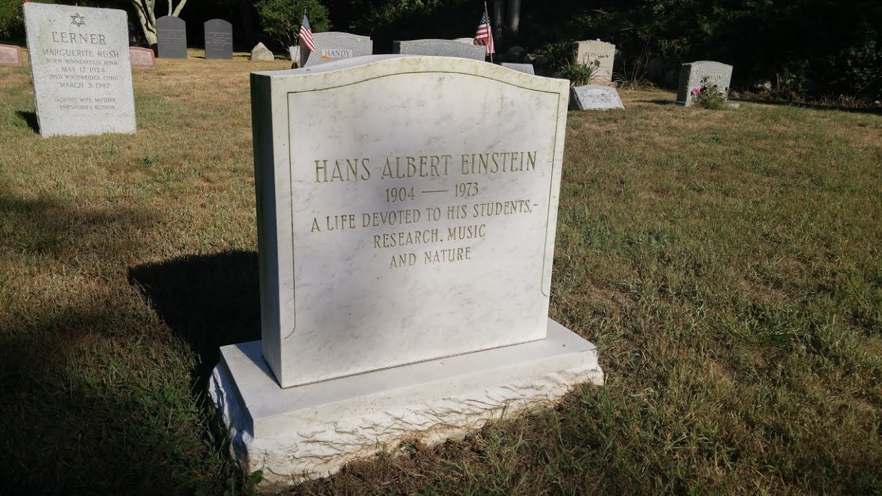 Hans Albert Einstein: 1"$%^"!! The Untold Legacy of Genius in His DNA ...