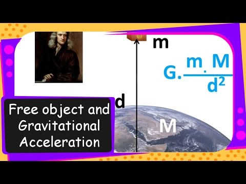 Science – Gravity and Acceleration in Free Falling Object Explained ...
