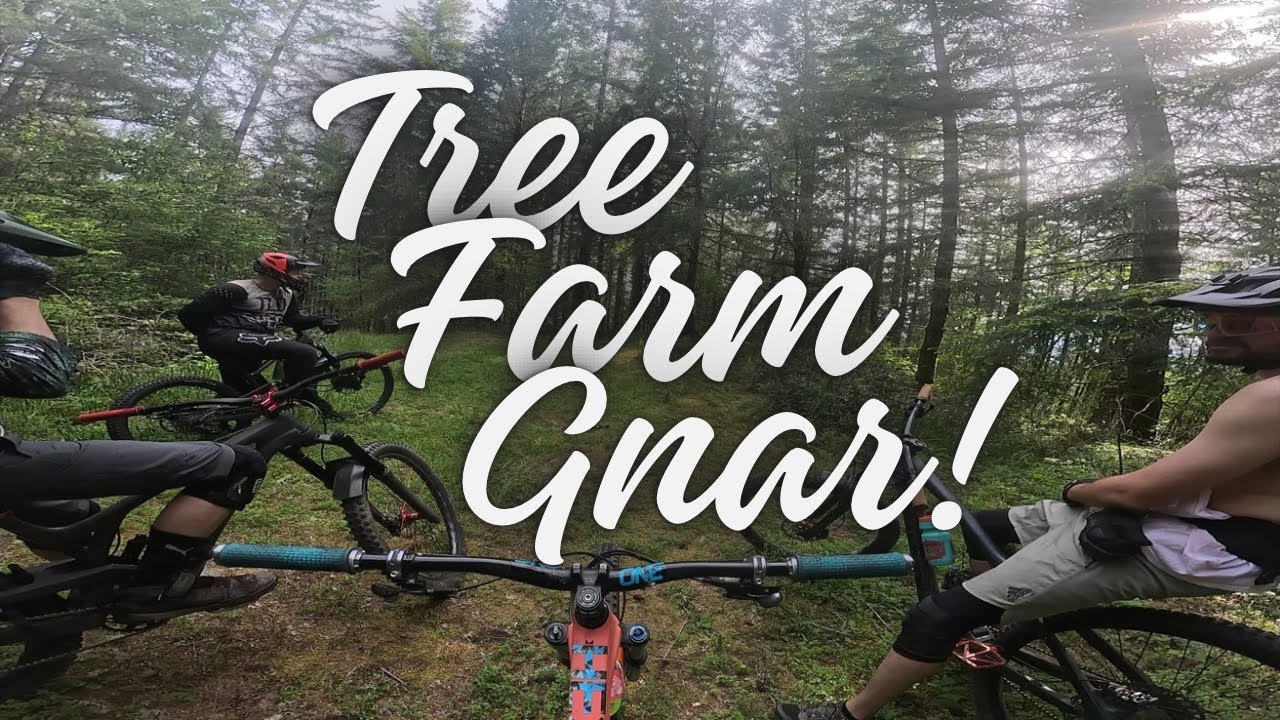 Pilchuck Tree Farm - YouTube