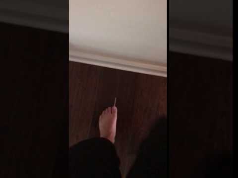Kicking a Wall with a Toothpick under a Toenail - YouTube