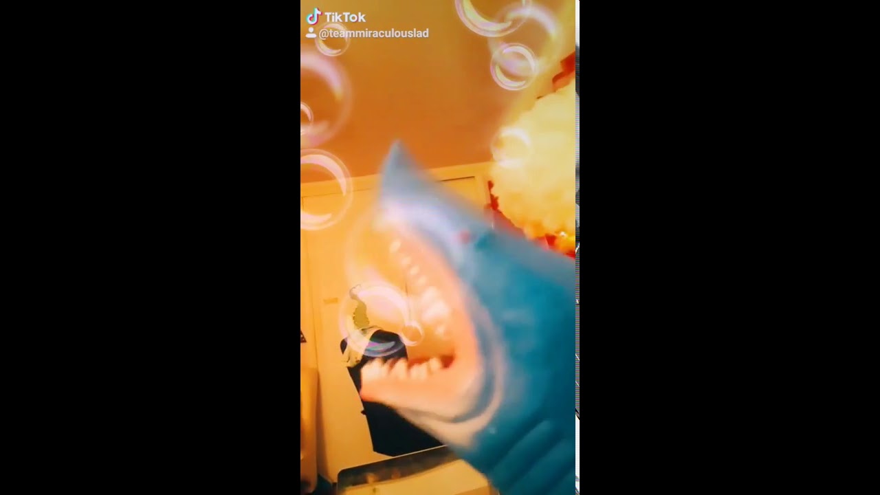 Tik Tok shark puppet - YouTube