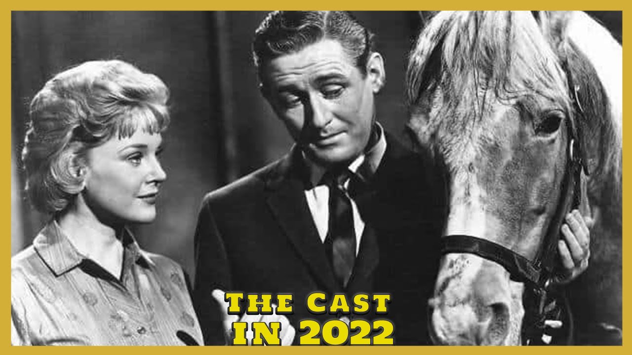 Mister Ed 1961-1966 Do you remember? Cast Then and Now - How they ...