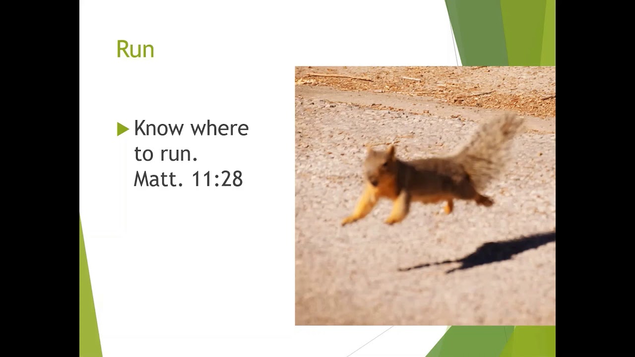 The Double Minded Squirrel Bible Sermon Preaching - YouTube