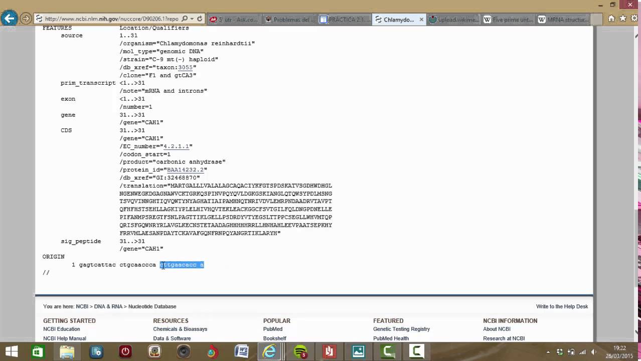 Guardar secuencias en NCBI (formato GenBank y FASTA) - YouTube