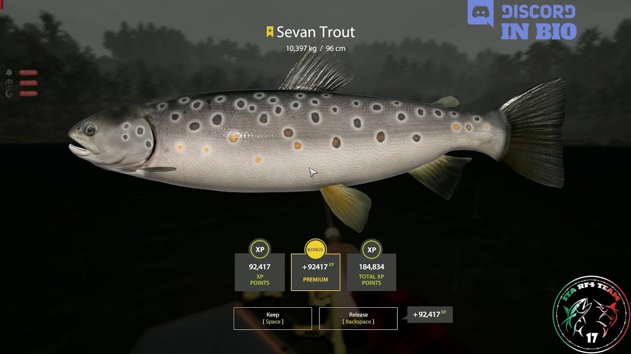 Kuori Lake spot, Trophy Sevan Trout and x2 Lake trout - #52 - Russian ...