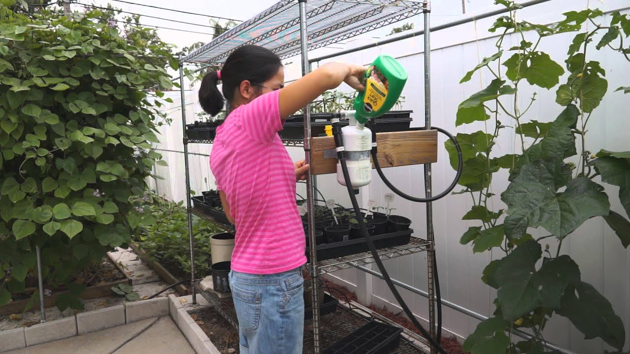 How to build an automated seed starting system （自动育苗系统） - YouTube