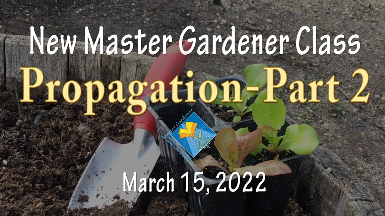 New Master Gardener Class Propagation Part 2 - YouTube