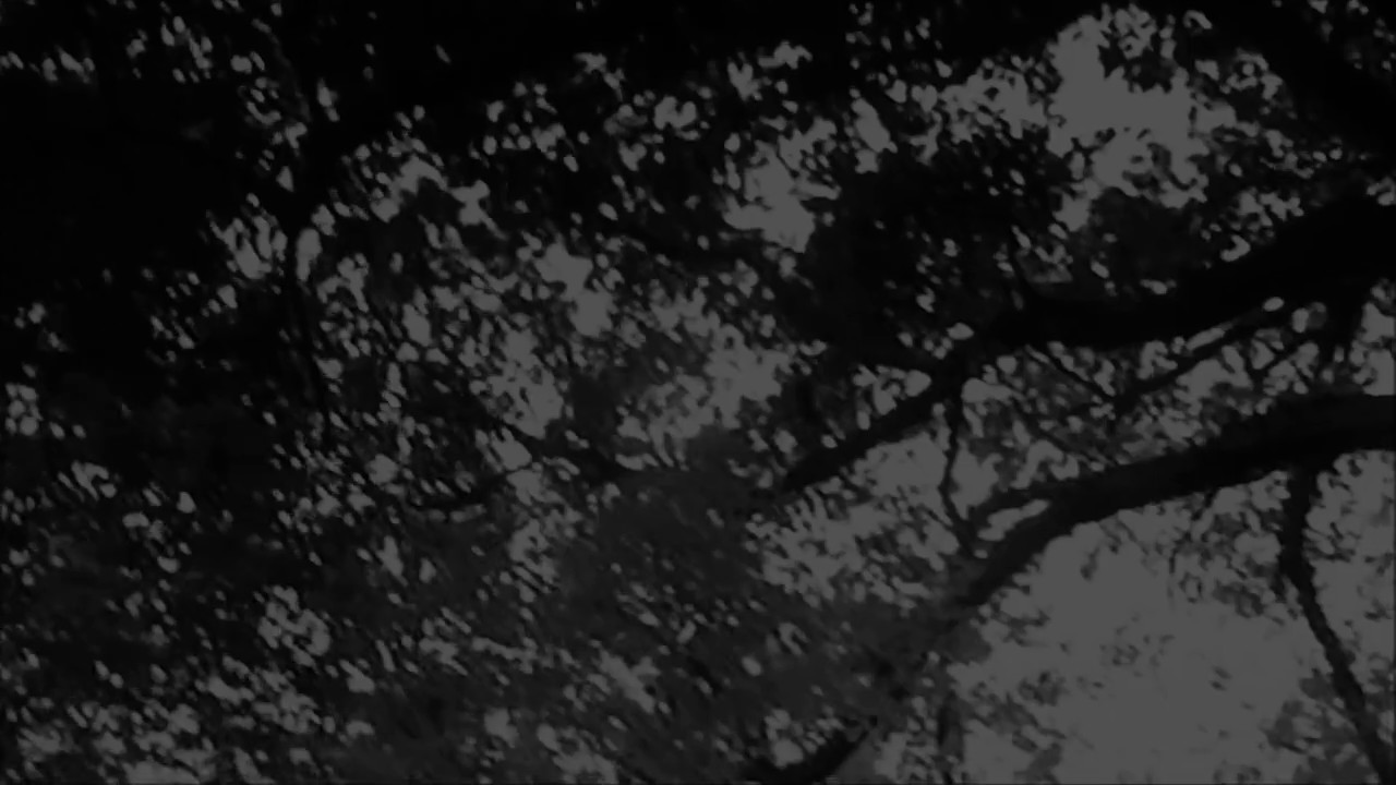 "The Phantom chicken of Highgate" - YouTube