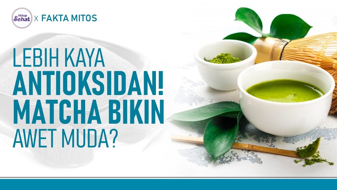 Perbedaan Nutrisi Teh Hijau Dengan Matcha | Hidup Sehat tvOne - YouTube