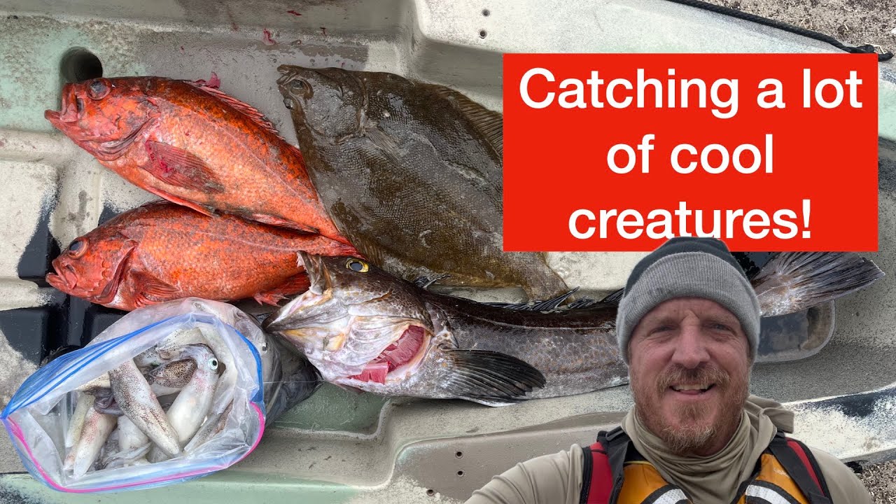 Monterey Bay Kayak Fishing: Squid, Lingcod, Vermillion Rockfish, Rock ...