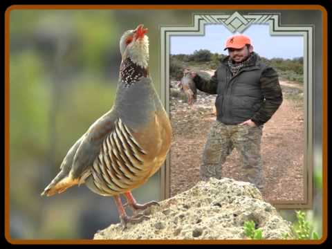 İKİ KEKLİK
