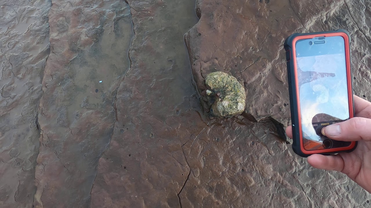 Barry Bendrick Dinosaur footprint find Barry - YouTube