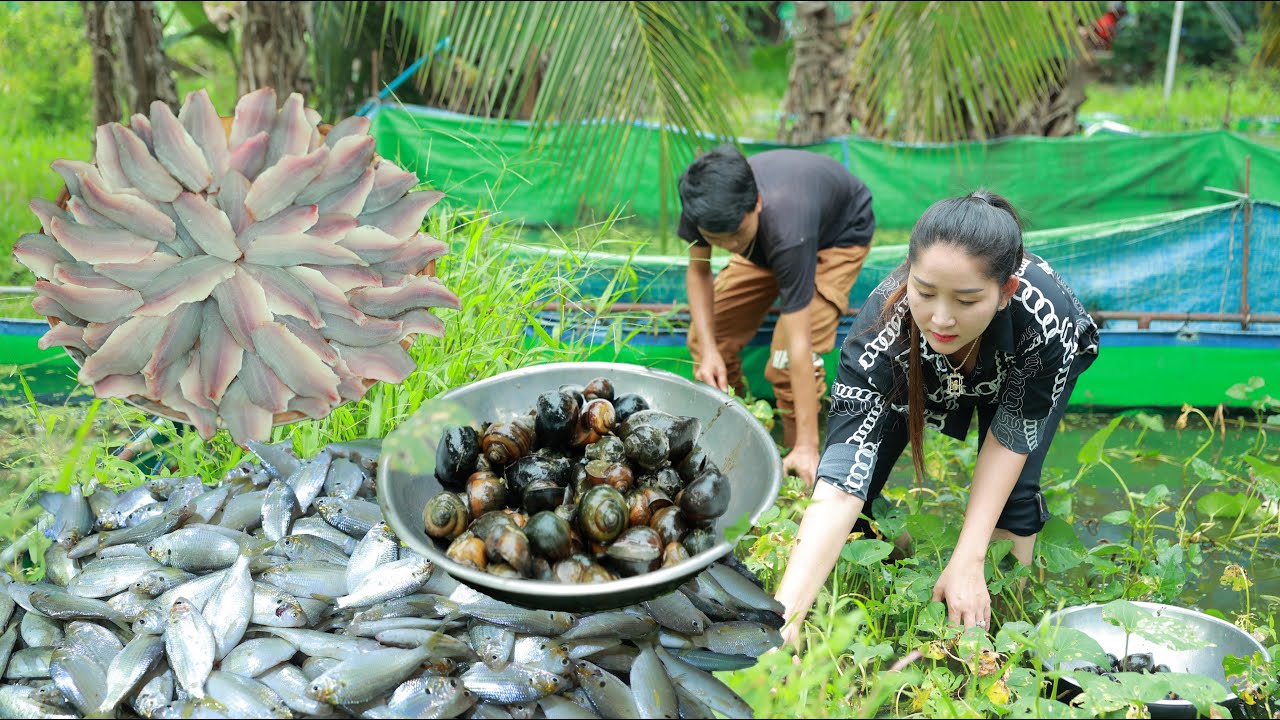 Chef Sros cooking show | Yummy snail soup, chicken chest fry and fresh ...