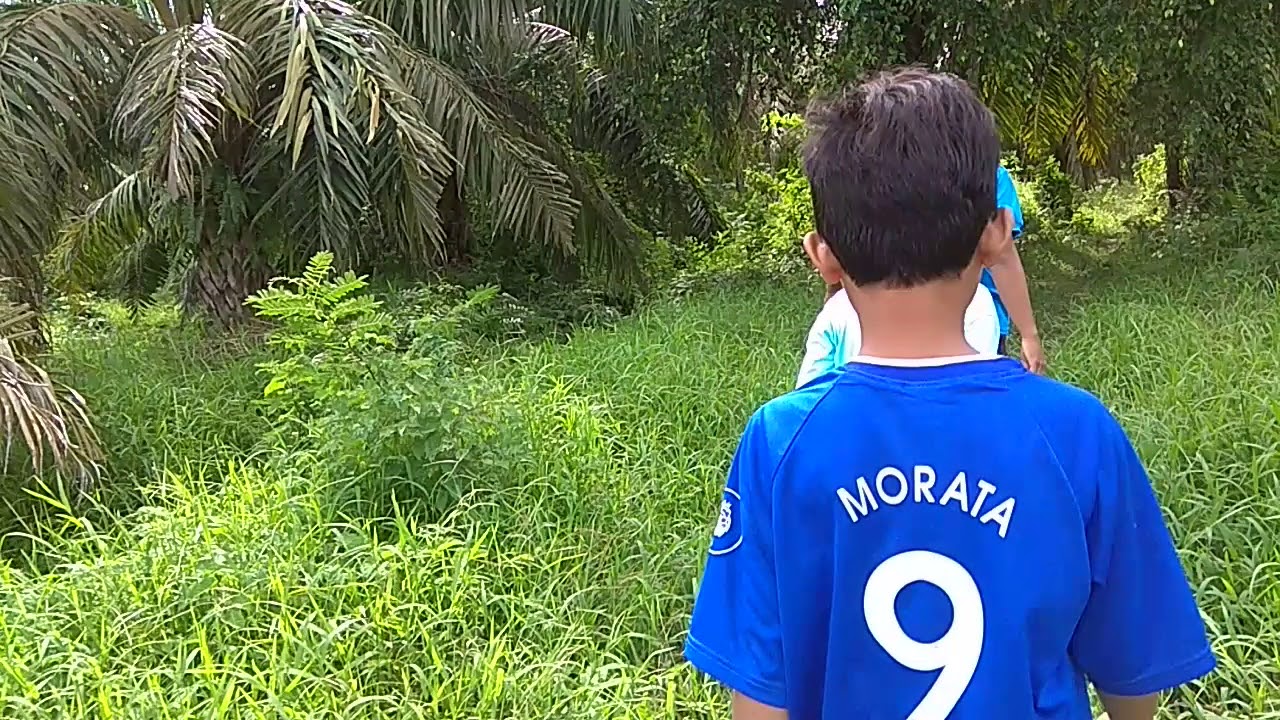 Penemuan suku mante di aceh - YouTube