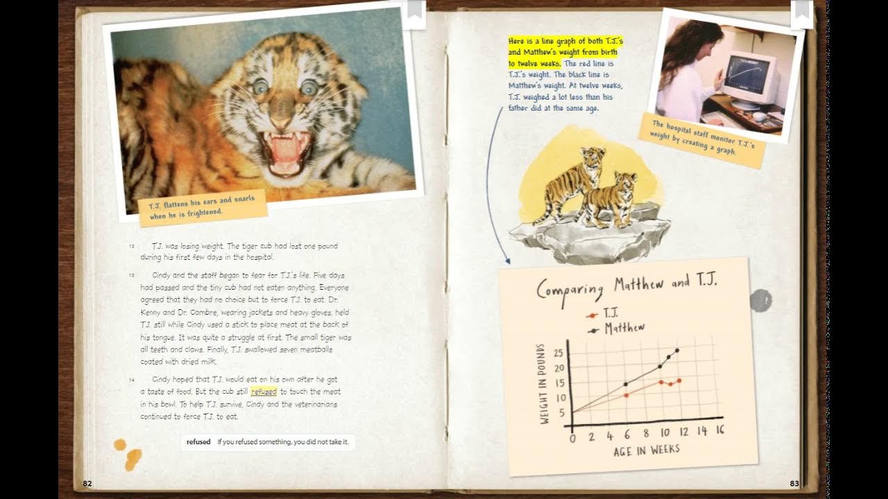 HMH Read Aloud | T.J. The Siberian Tiger Cub - 3rd grade - YouTube
