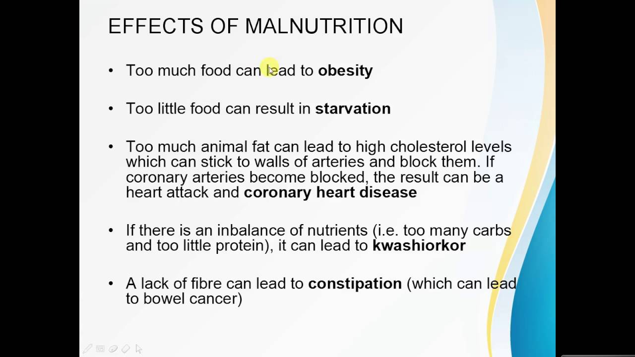IGCSE BIOLOGY REVISION Syllabus 7 1 The Human Diet YouTube igcse-biology-revision-syllabus-7-1-the-human-diet-youtube