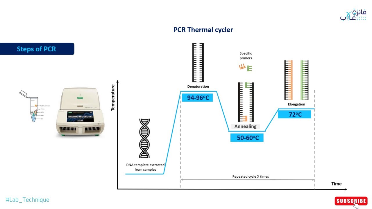 PCR thermal cycler I PCR program I PCR steps - YouTube