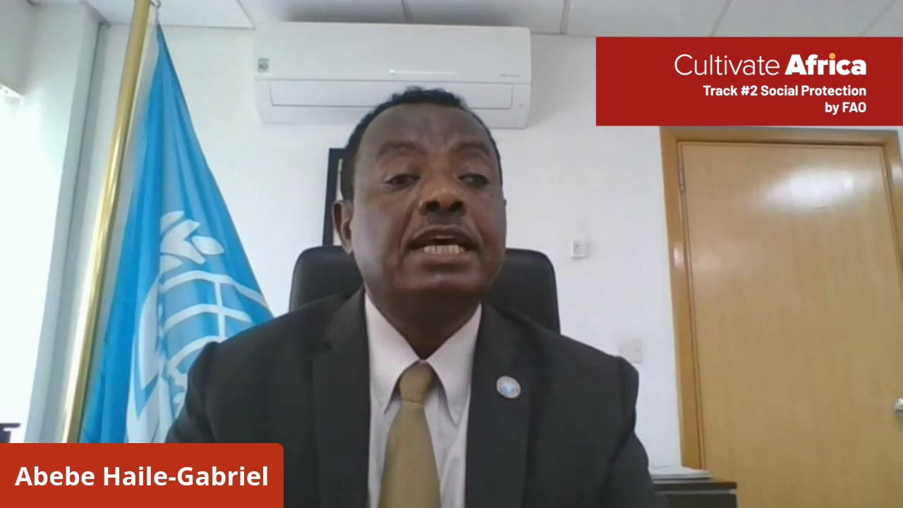 Dr Abebe Haile Gebriel I Cultivate Africa 2020 I FAO - YouTube