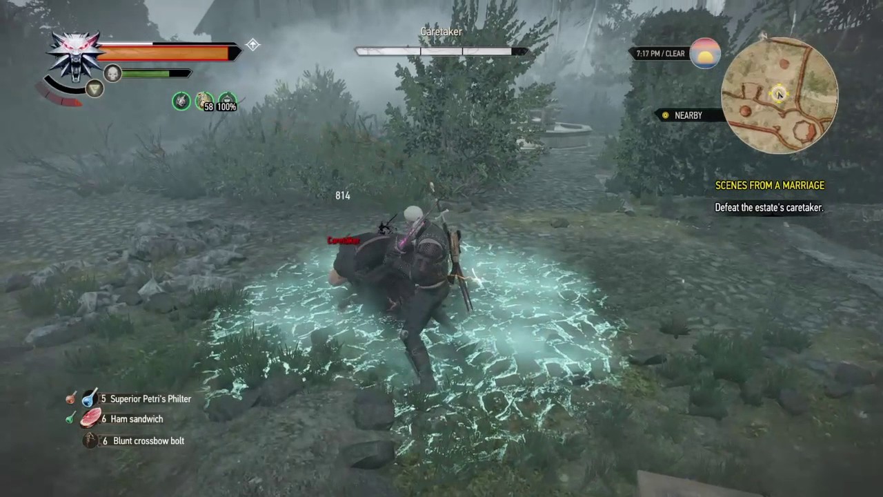 Bloodborne enemy in the Witcher 3? - YouTube