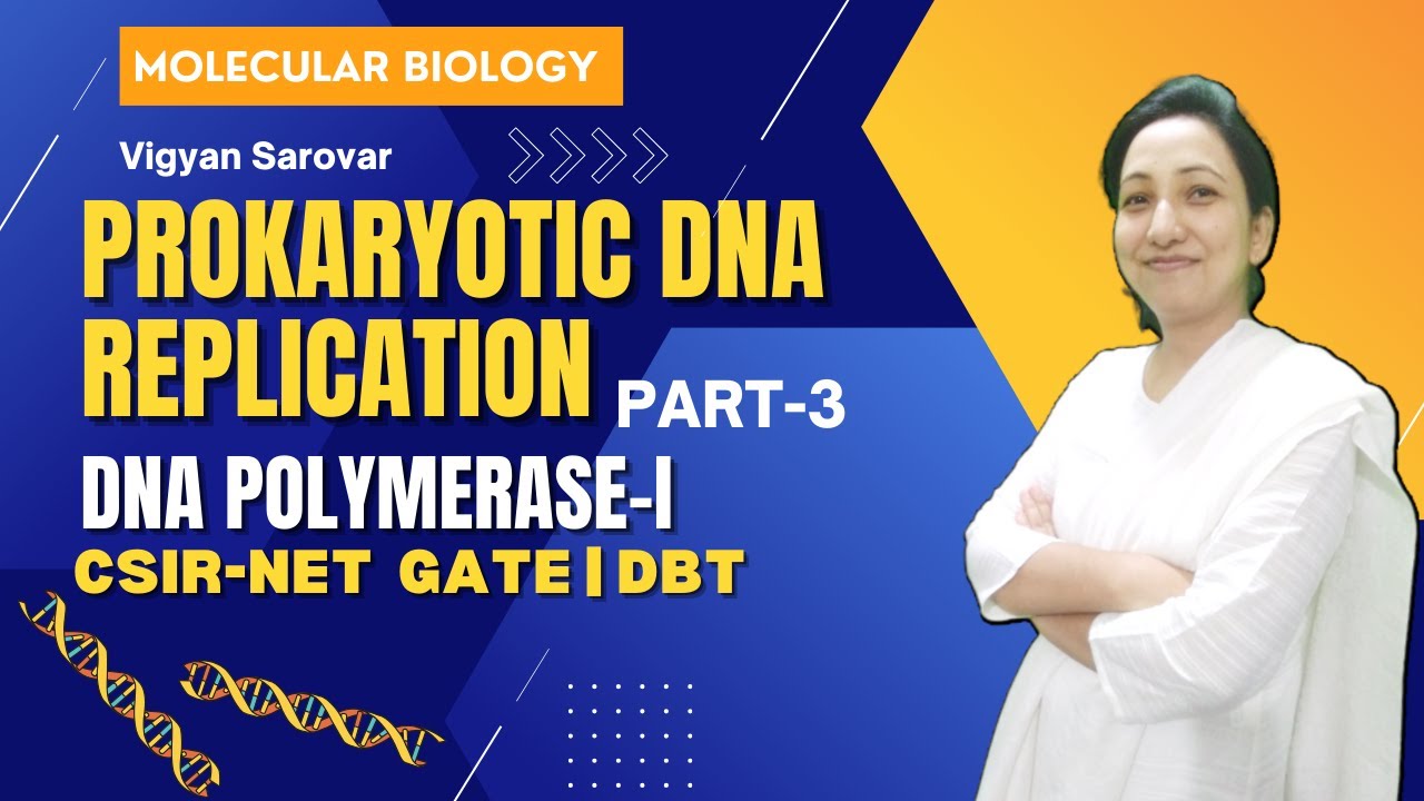 Prokaryotic DNA Replication Part-3 | DNA Polymerase-I | DNA Replication ...