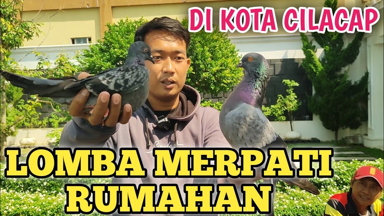 TERNYATA BEGINI.!! LOMBA MERPATI RUMAHAN DI KOTA CILACAP‼️ - YouTube